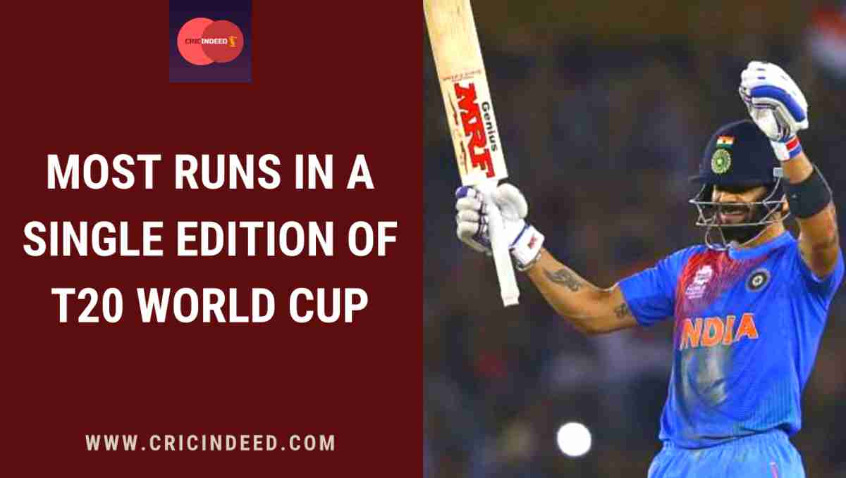 T20 World Cup Stats: Most Runs in a Single Edition - CricIndeed